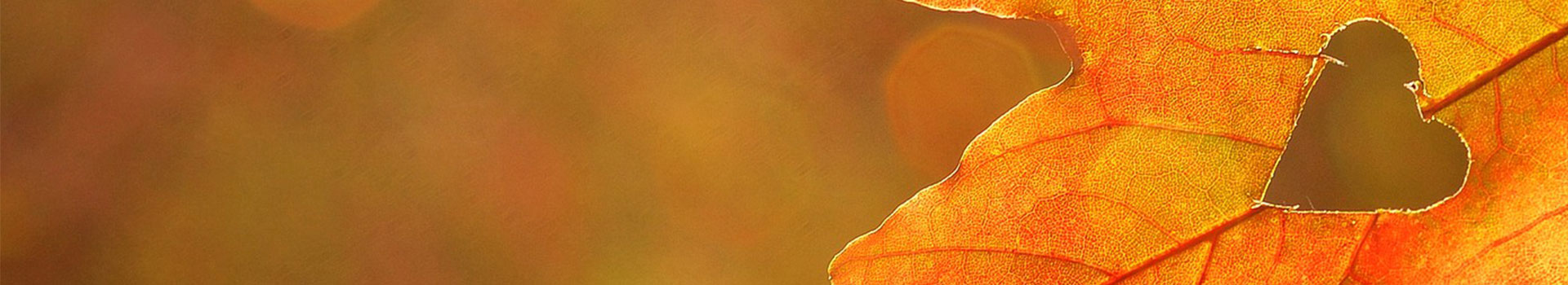 Incontinence Who can help? | Continence Health Australia (formerly the ...