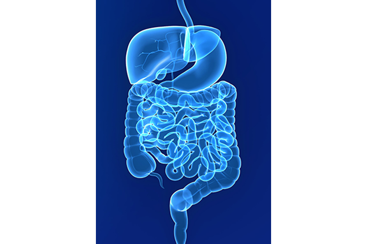 What is incontinence? | The Facts | Continence Foundation of Australia